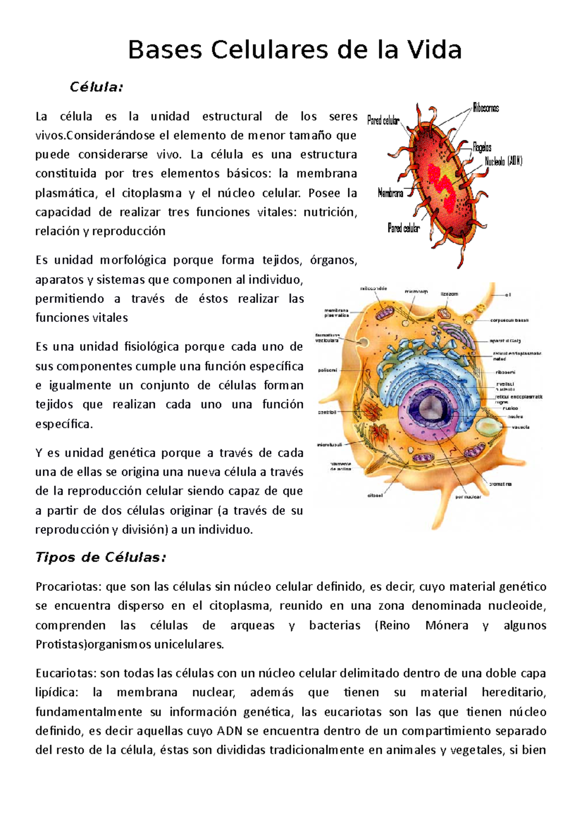 Bases celulares de la vida - Bases Celulares de la Vida Célula: La ...