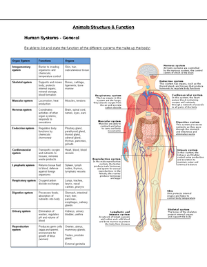 Circulatory System Completion Gizmo - Student Exploration: Circulatory ...
