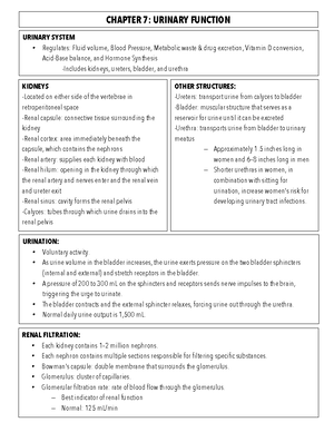 Physical assessment module 4 PDF - ABDOMEN STRUCTURE & FUNCTION: The ...