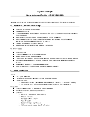 6S Pyramid Worksheet 2023 (not for assignment) - 6S Pyramid Worksheet ...