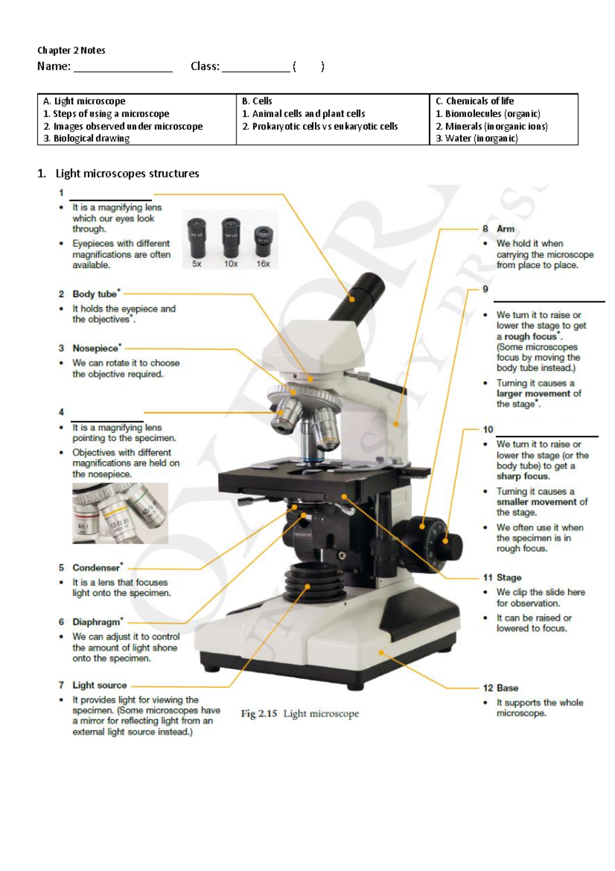 Cells and microscope notes - Name: ________________ Class ...