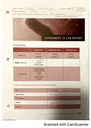 Experiment 23 Correction - MCB2010L - Studocu