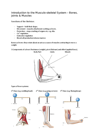 The Knee - A full overview of the knee, part of the Functional anatomy ...