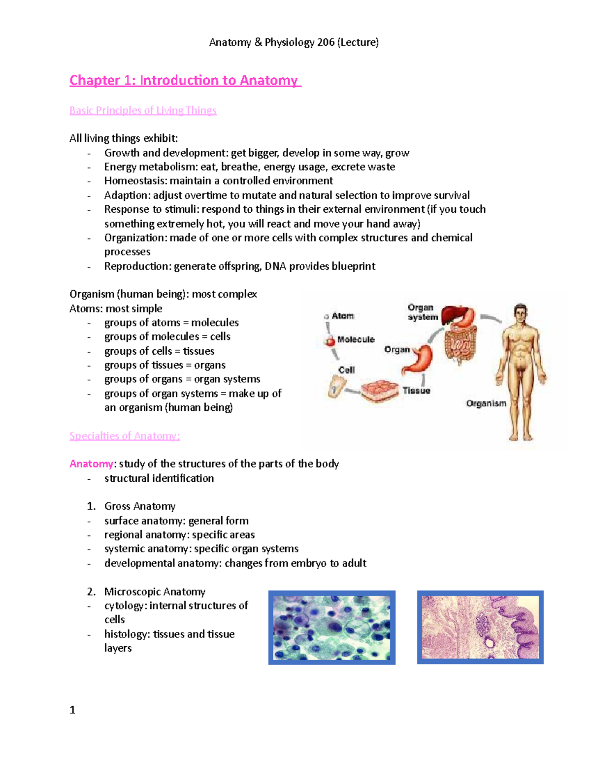 Anatomy Lecture Notes - Valerie Wherley was the professor but the ...