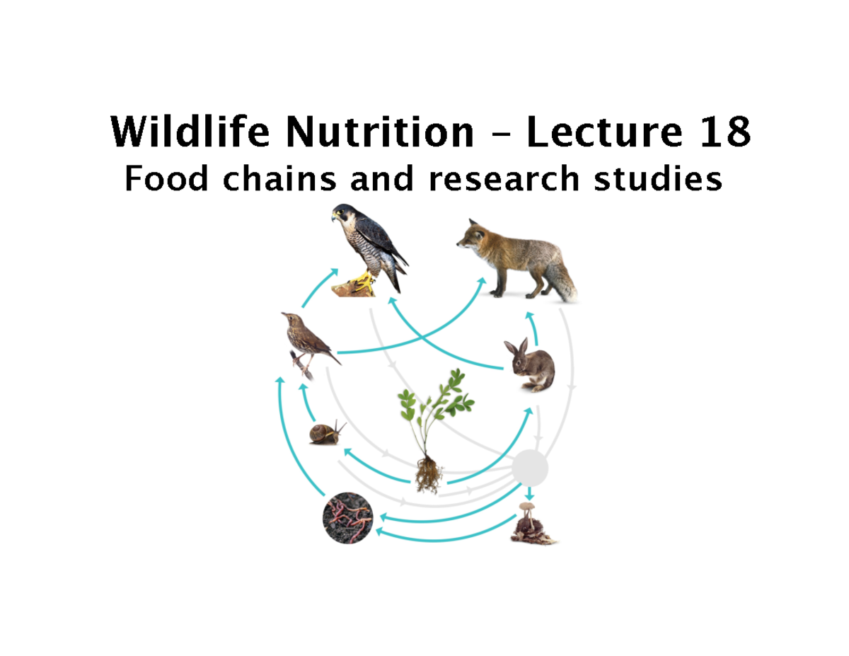 Lecture 18 - Food chains and research studies - Wildlife Nutrition ...