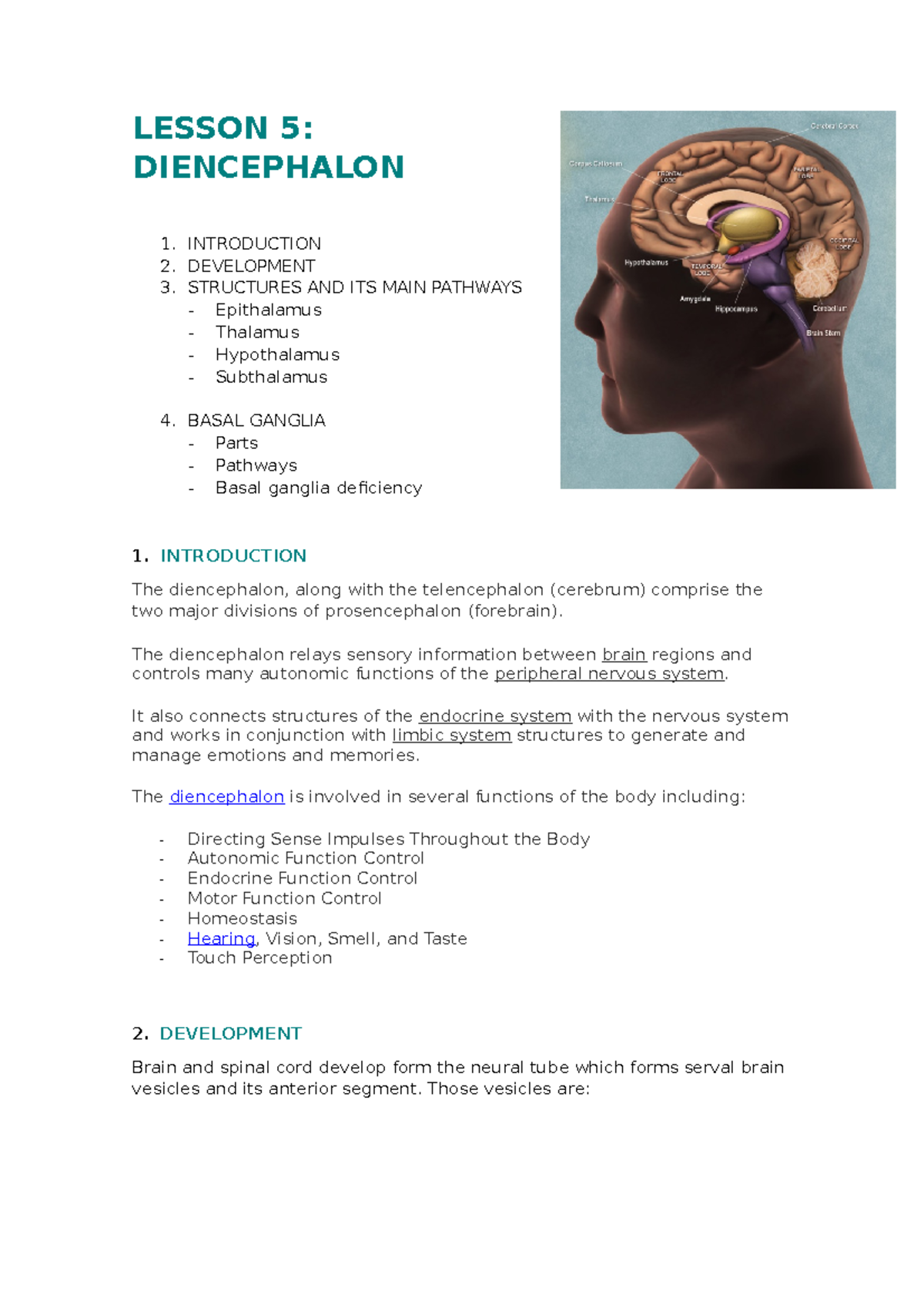 5º diencephalon - LESSON 5: DIENCEPHALON 1. INTRODUCTION 2. DEVELOPMENT ...