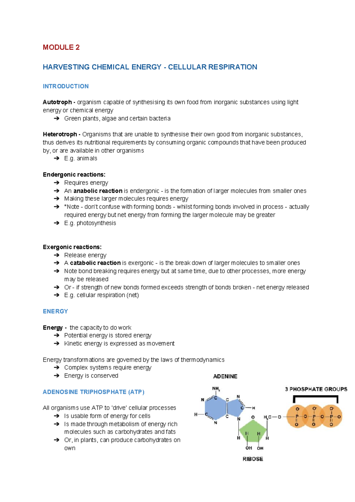 Module 2 lecture notes - MODULE 2 HARVESTING CHEMICAL ENERGY - CELLULAR ...