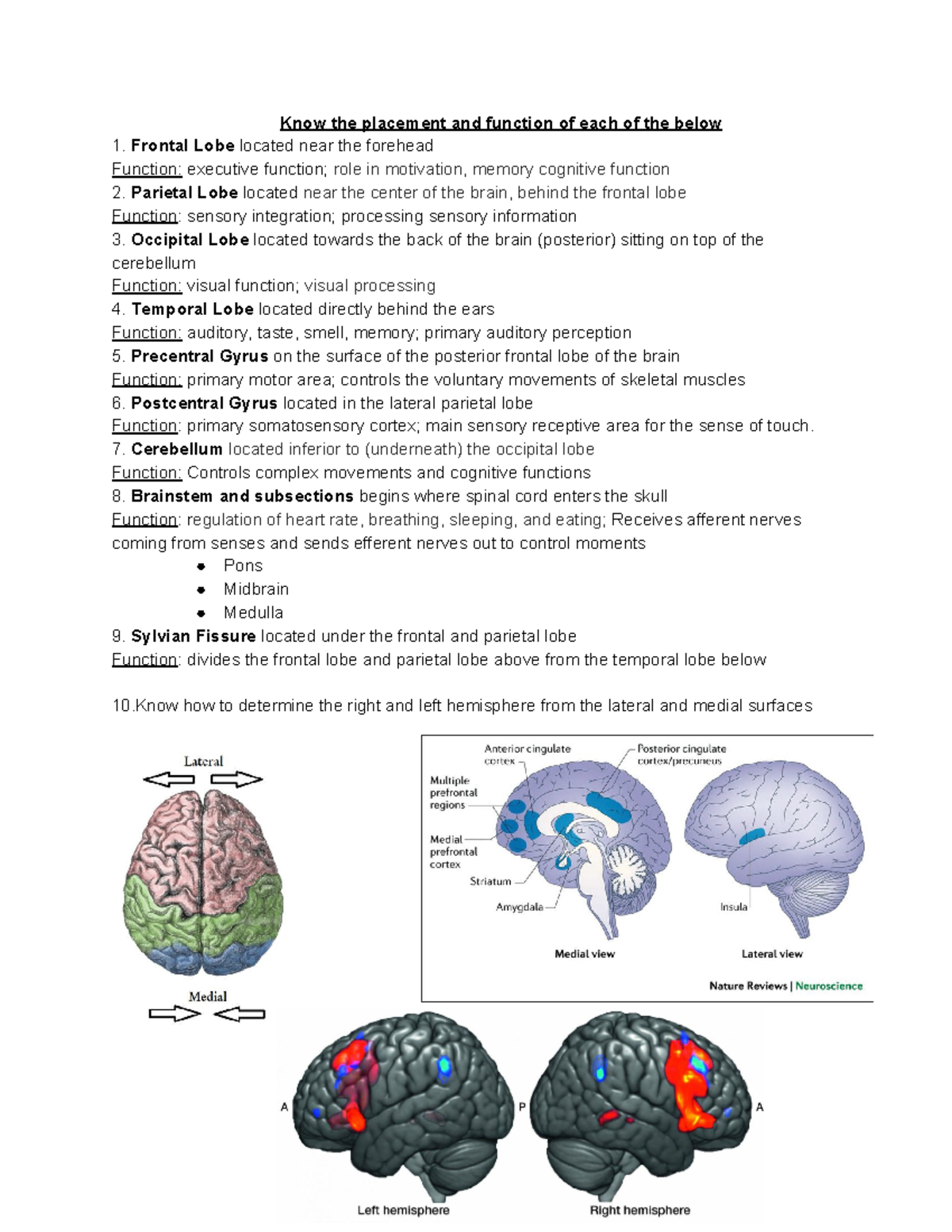Psych 360 study guide - Know the placement and function of each of the ...
