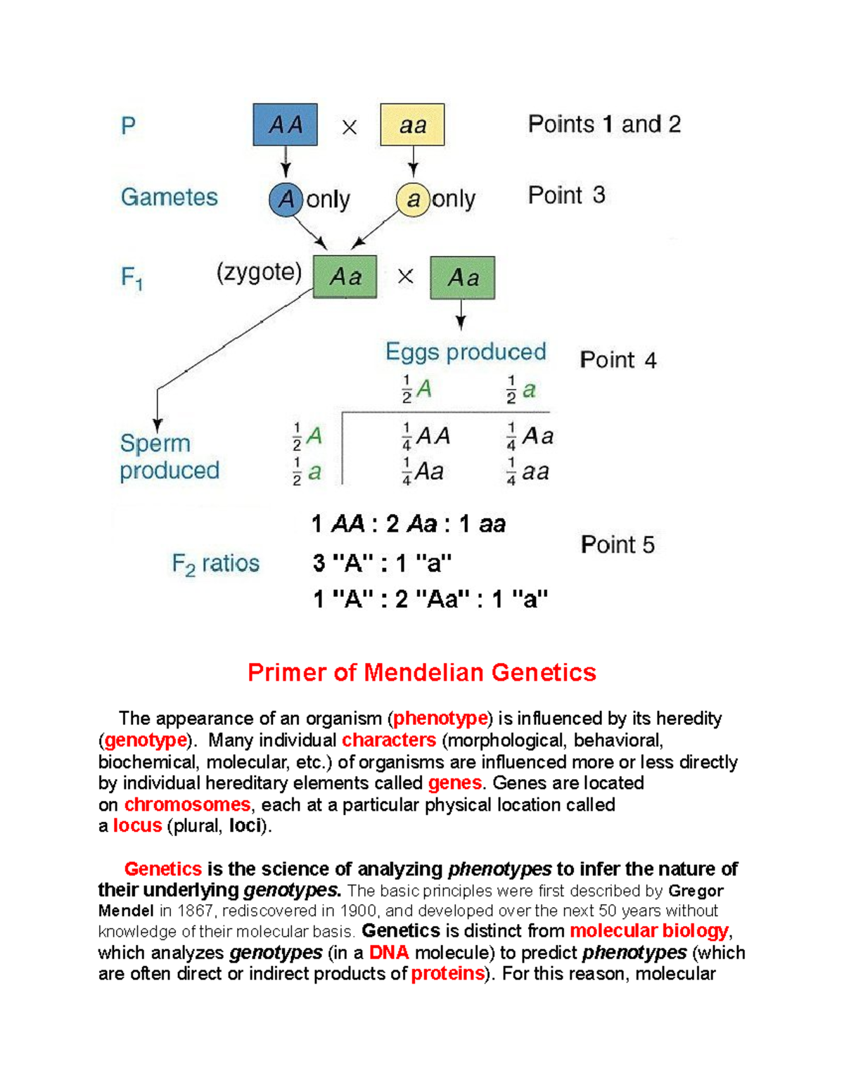 Primer of Mendelian Genetics lecture notes 7 - Primer of Mendelian ...