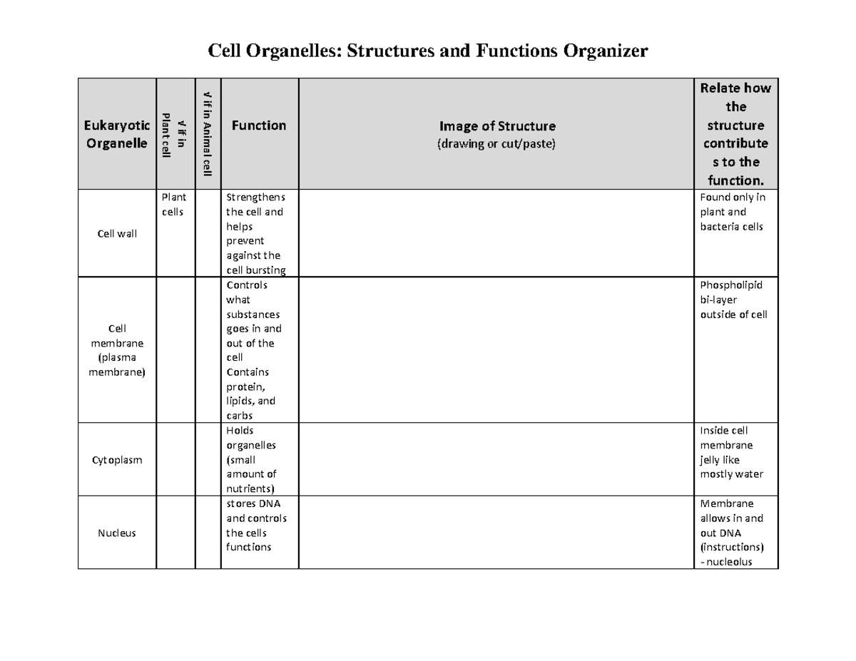 Cell organelle Structure and function-2 - Eukaryotic Organelle √ if in ...