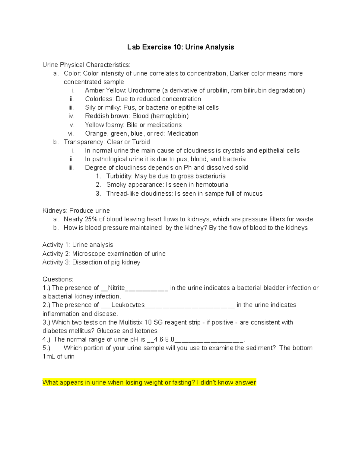 Lab Exercise 28 Anatomy Of The Urinary System