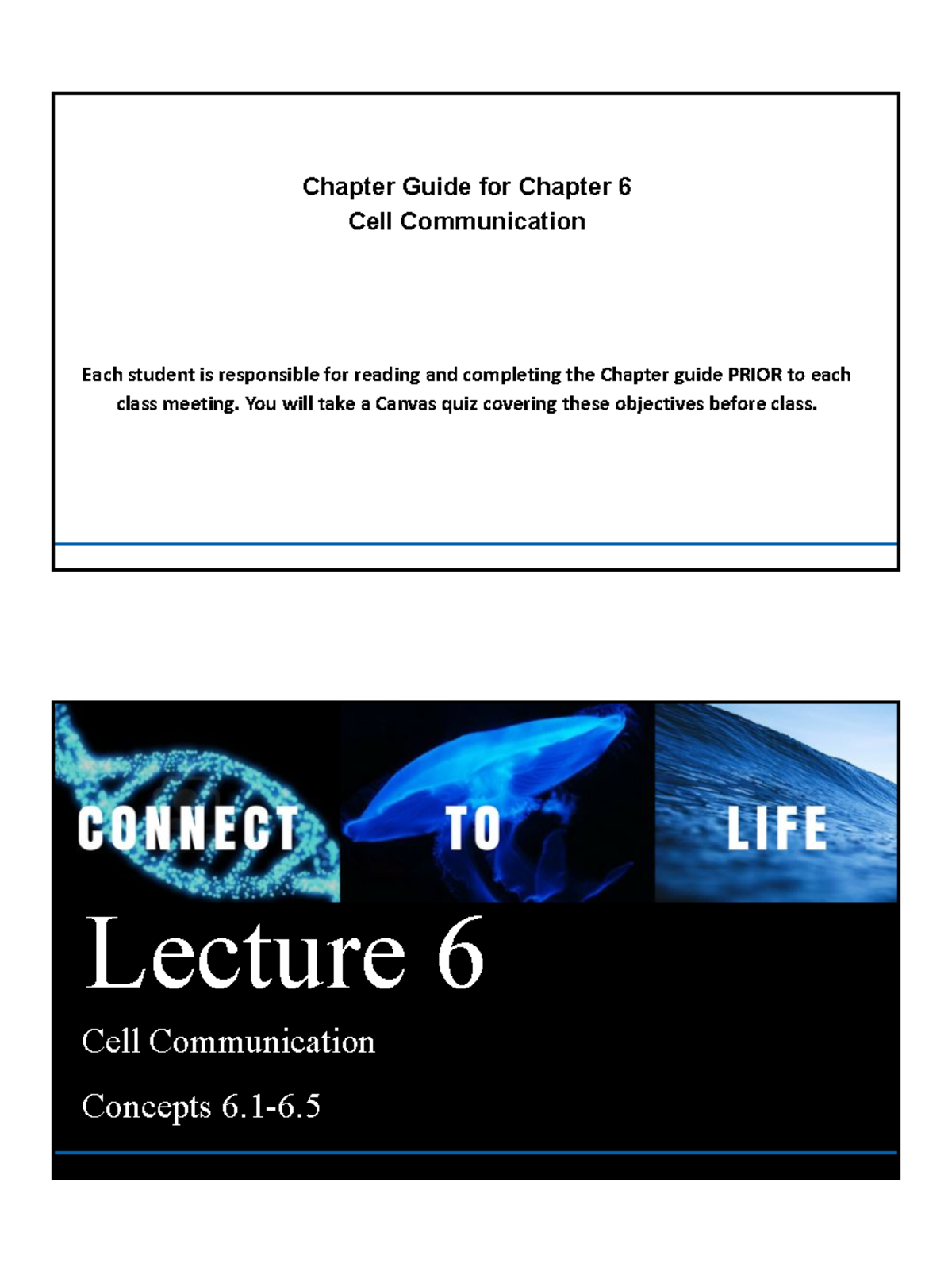 Chapter 6 PP Worksheet and Study Guide Summary - Chapter Guide for ...