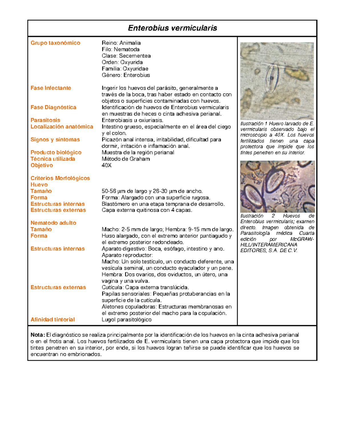 F02 Enterobius vermicularis - Enterobius vermicularis Grupo taxonómico ...