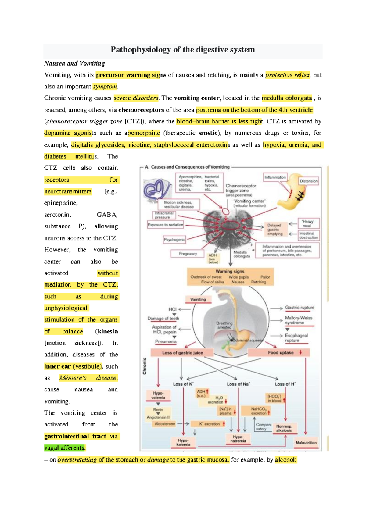 5.General Pathophysiology of the digestive system - Pathophysiology of ...
