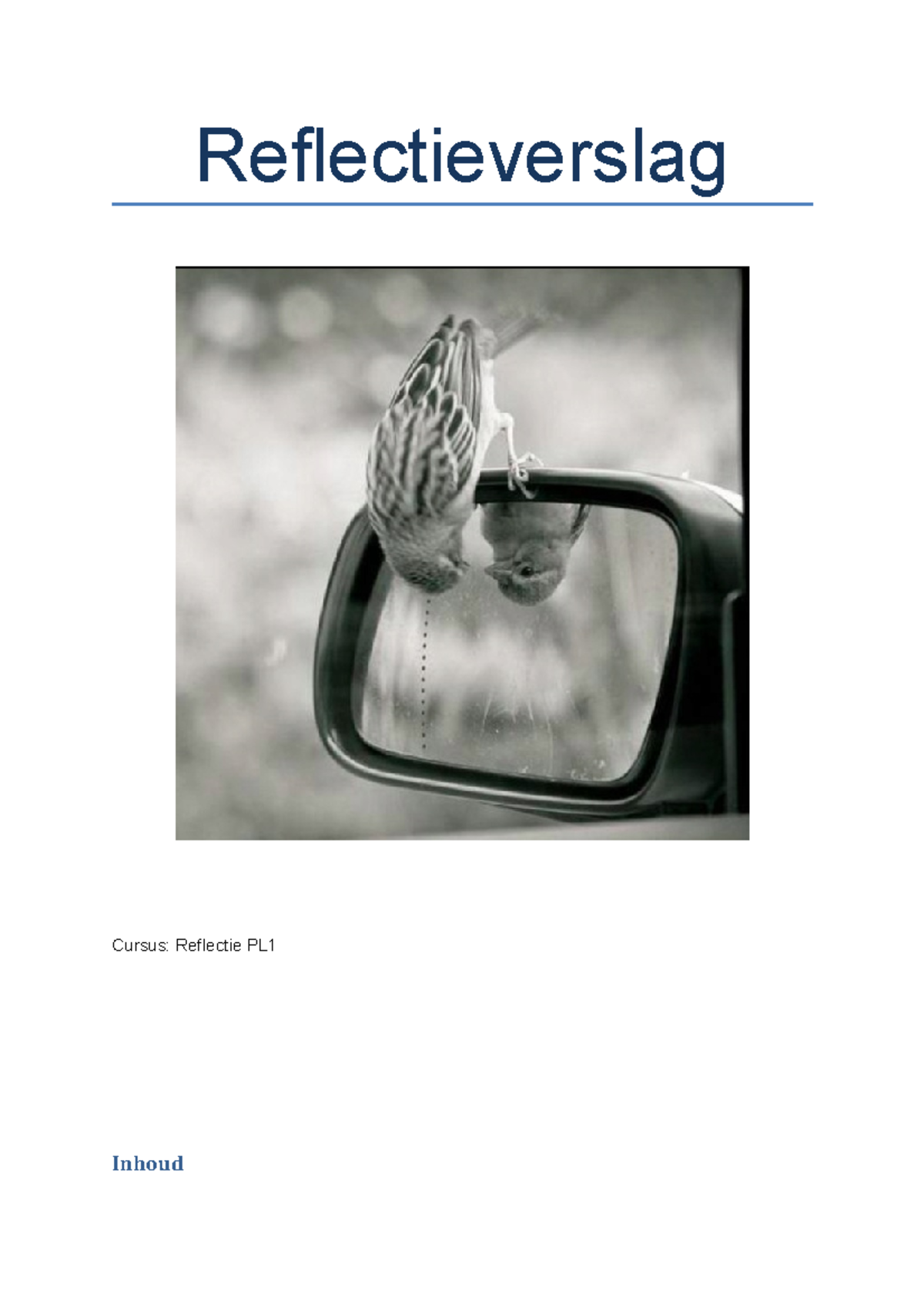 Reflectieverslag - VPK praktijkleer 1 - Reflectieverslag Cursus ...