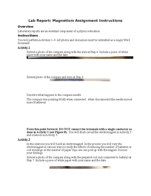 Lab Report Melting Points of Organic Acids Template - CHEM 108 LAB ...