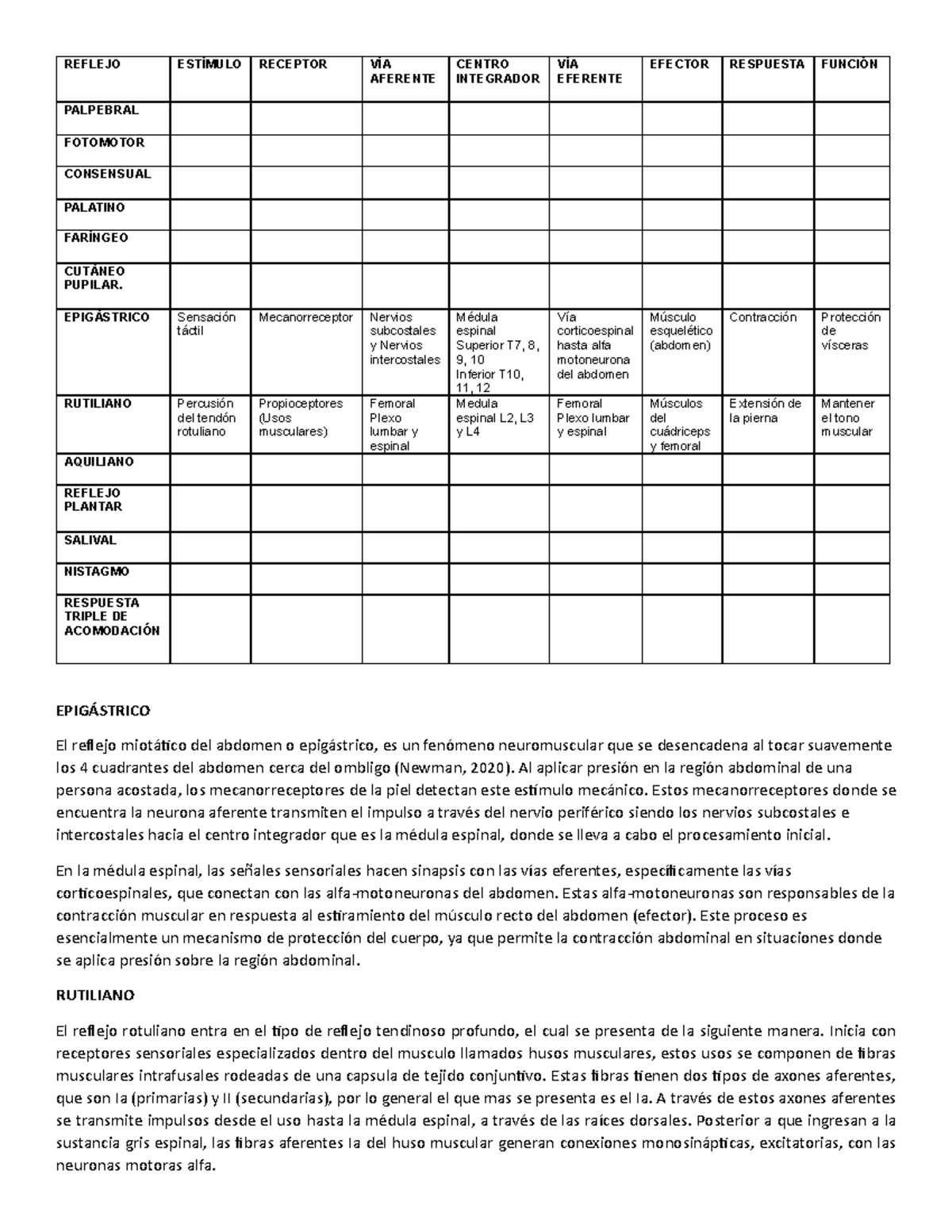 Reflejo - Apuntes fisiologia humana - REFLEJO ESTÍMULO RECEPTOR VÍA ...