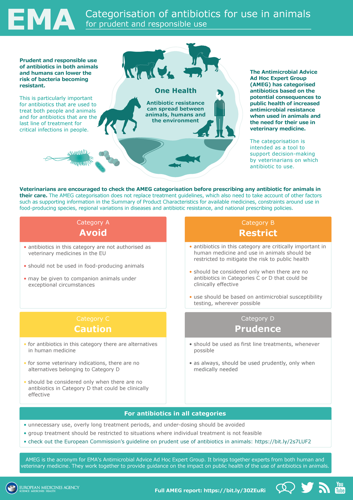 Infographic-categorisation-antibiotics-use-animals-prudent-responsible ...