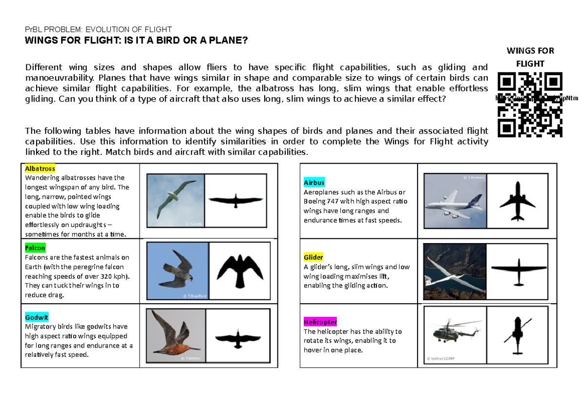 Wings for flight - Is it a bird or a plane - PrBL PROBLEM: EVOLUTION OF ...
