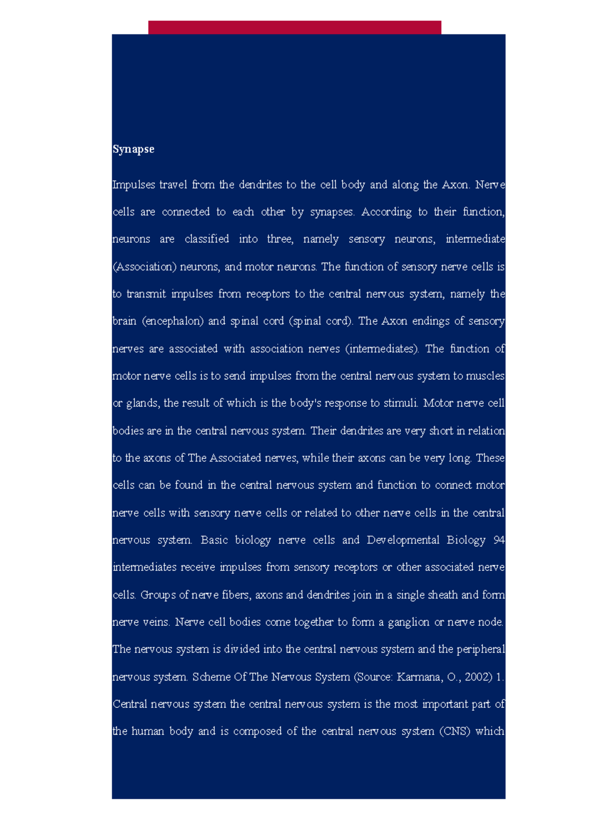 Notes Study Biology - Synapse - Synapse Impulses travel from the ...