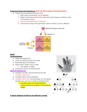 Medical Genetics Powerpoint 1 Part 1 - Medical Genetics: Review of ...
