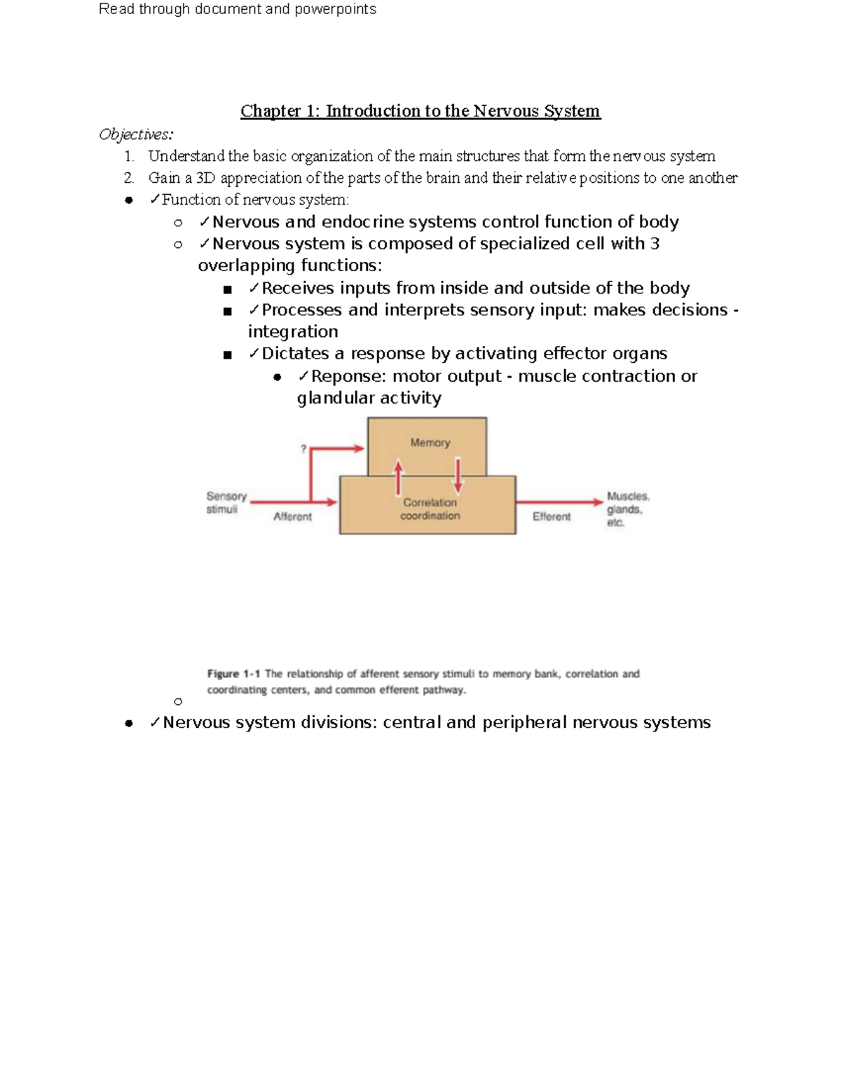 Neuroanatomy week 1 - Chapter 1: Introduction to the Nervous System ...