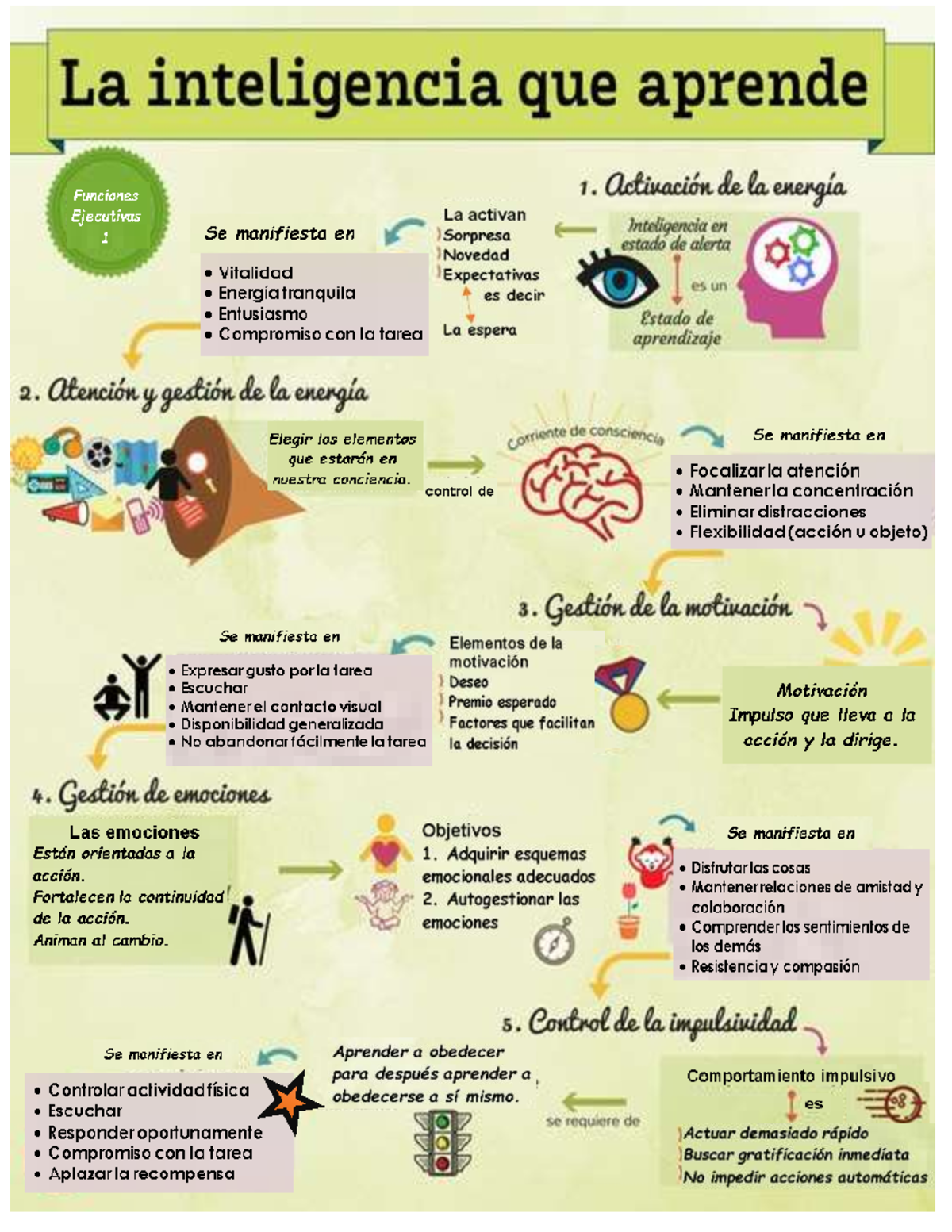 Infografía funciones ejecutivas - La inteligencia que aprende Funciones ...
