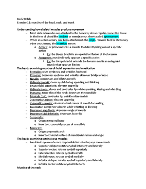 BIOL 220 lab nervous system - BIOL 220 lab Introduction to the nervous ...