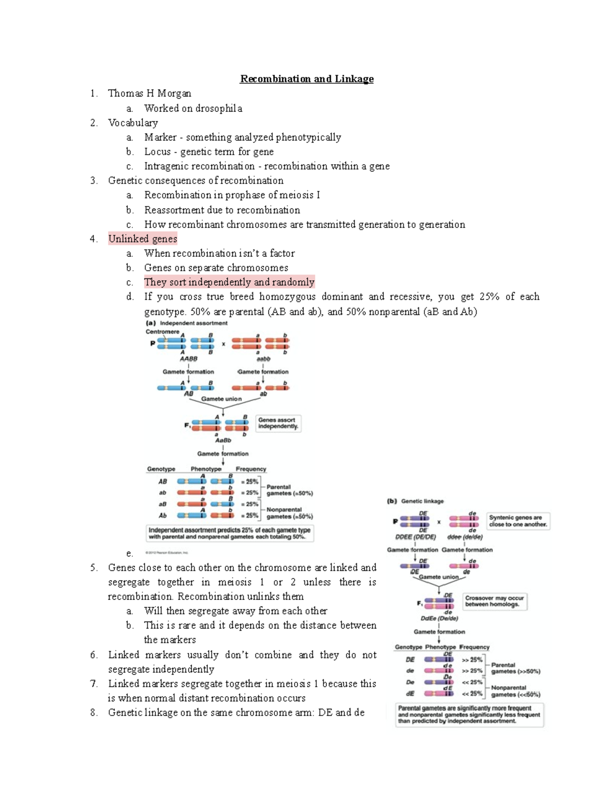 L14 Ch 5 Linkage and Mapping in Eukaryotes - BIOL 302.00 - Hunter ...