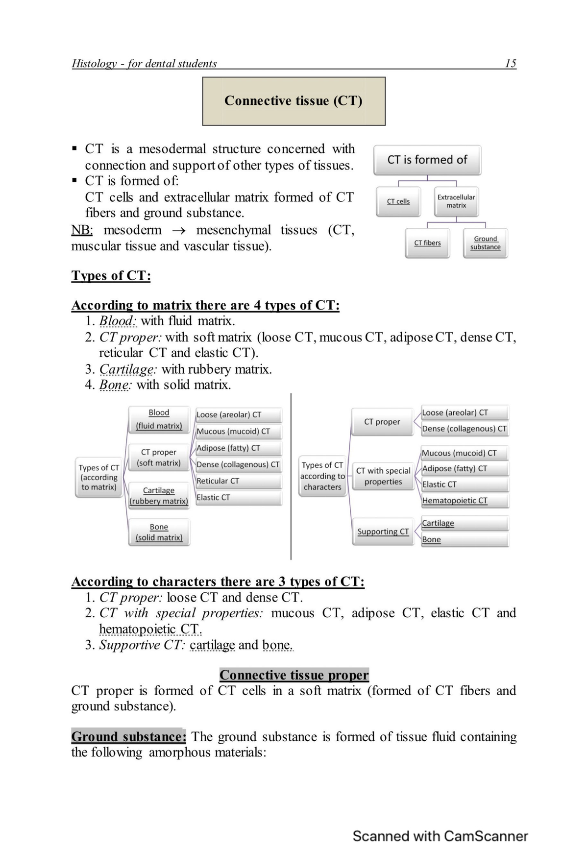 Histology - CT - Anatomy of CT - Studocu