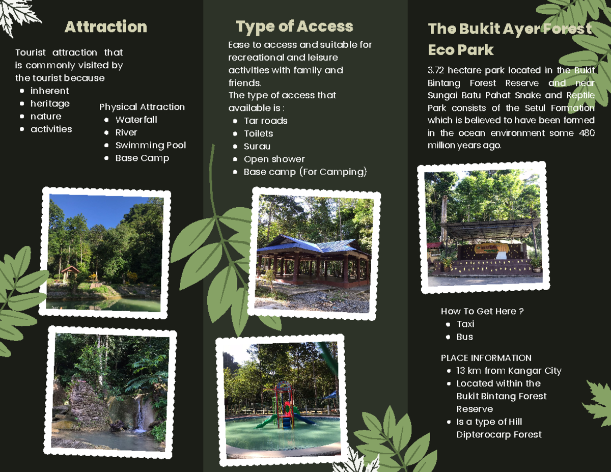 Bukit AYER Forest Brochure - Attraction Tourist attraction that is ...