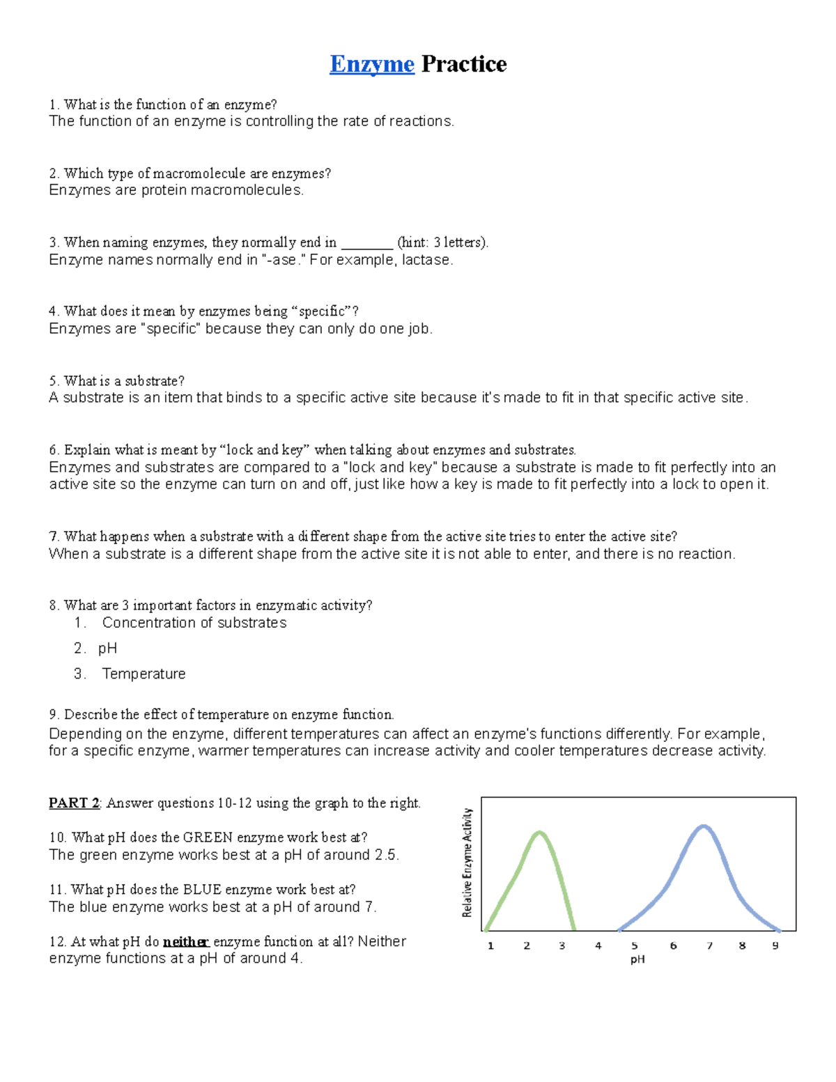Enzyme Practice - Enzyme Practice What is the function of an enzyme ...