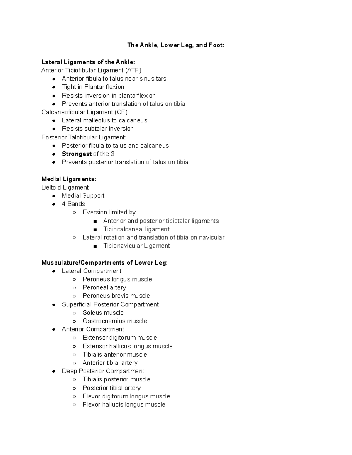 The Ankle, Lower Leg, and Foot - The Ankle, Lower Leg, and Foot ...