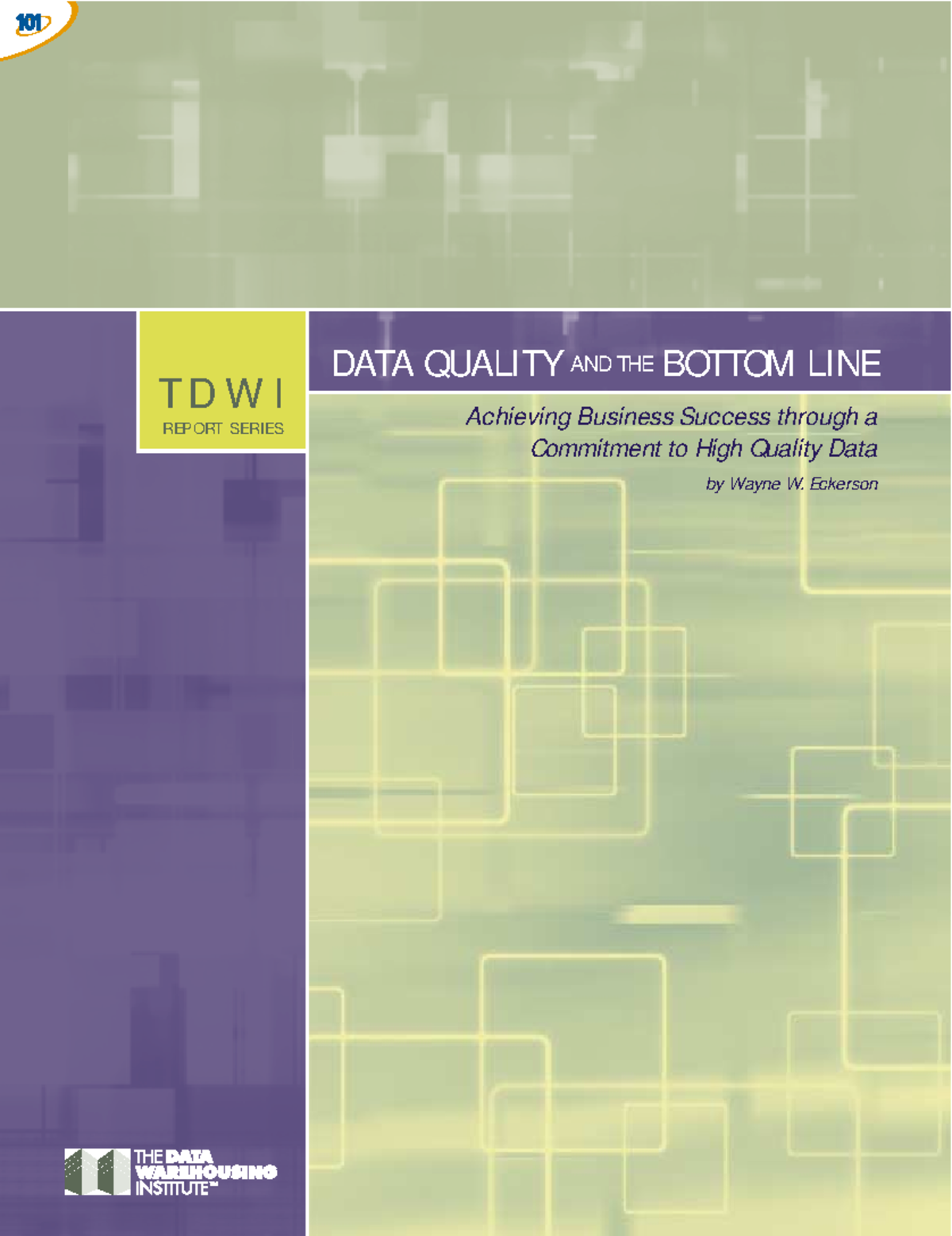 Data Quality Report - summary - Achieving Business Success through a ...