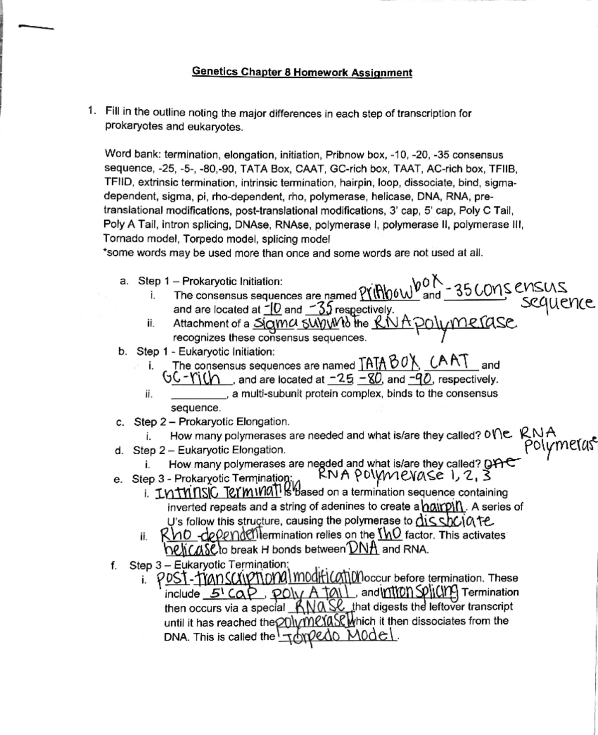 Chapter 8 BIOL 310 - Genetics Chapter 8 Homework Assignment 1. Fill in the outline noting the ...