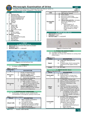 MTAP 1 - Mycology and Virology - Overview and Introduction to Mycology MYCO-VIRO UERM CAHP 2023 ...