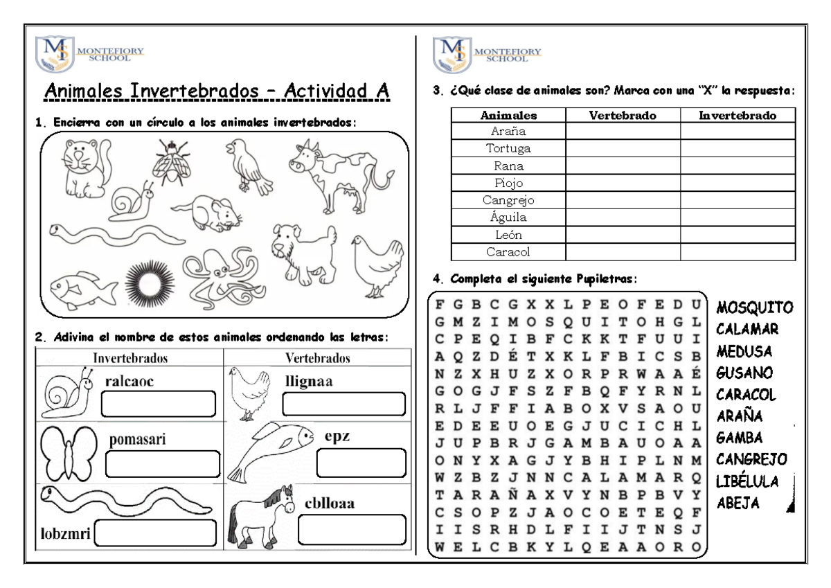 Animales Invertebrado - Actividad A - Matemática Básica - 3 Animales ...
