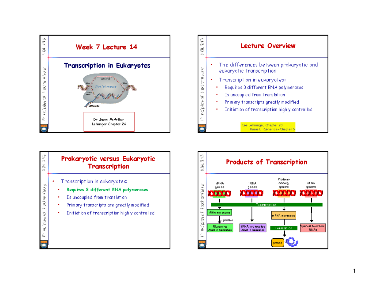Lecture notes, lecture 16 - Transcription - principles of biochemisrty ...