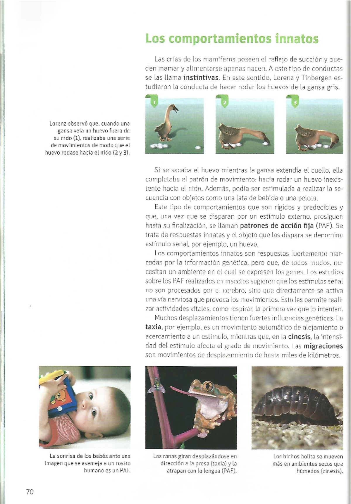 COMP Innato Y Aprend IMAG - Biologia - Studocu