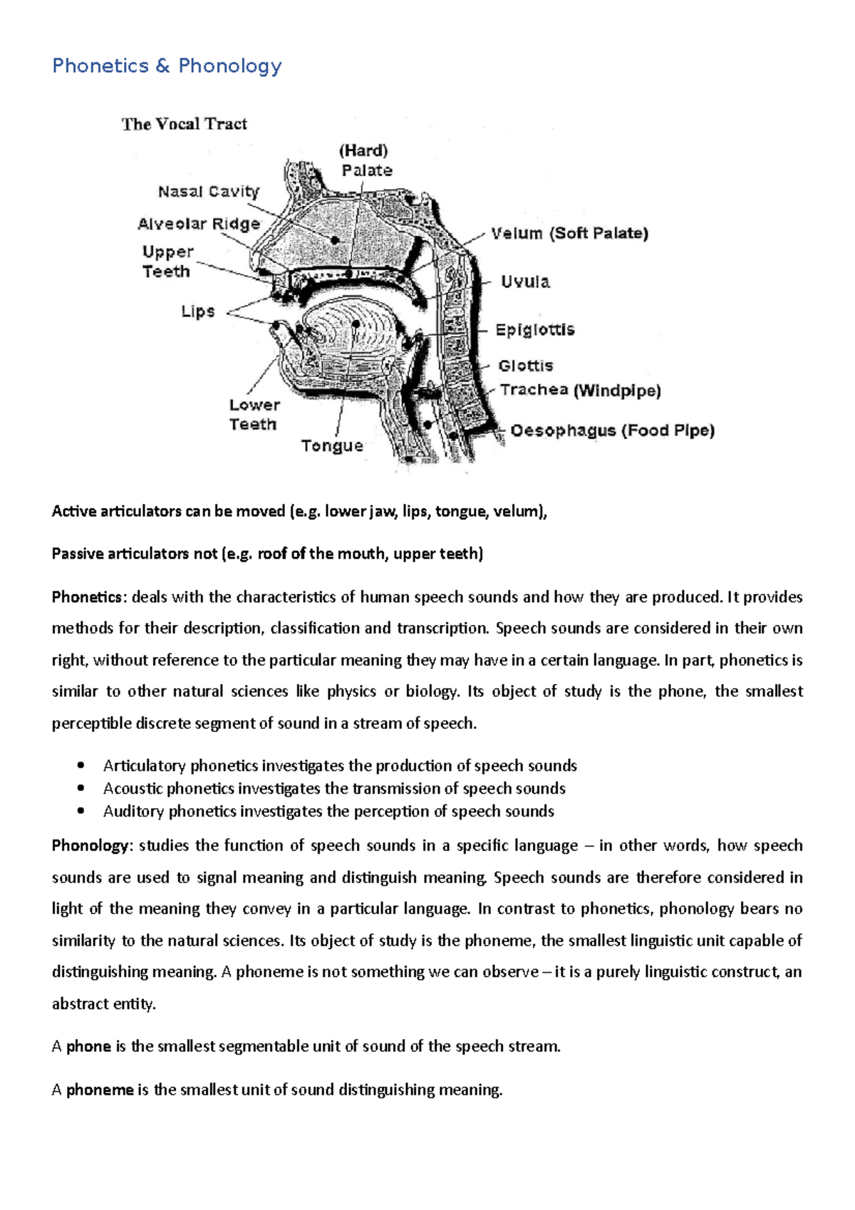 Phonetics and Phonology - Phonetics & Phonology Active articulators can ...