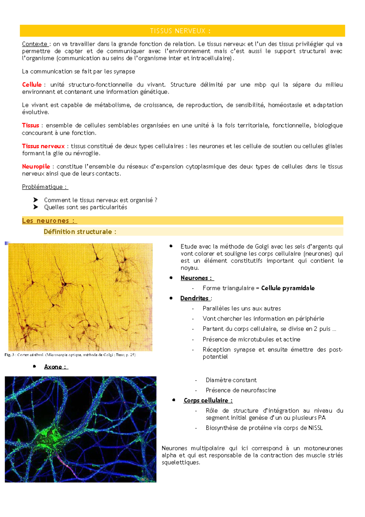 Tissus nerveux - TISSUS NERVEUX : Contexte : on va travailler dans la ...