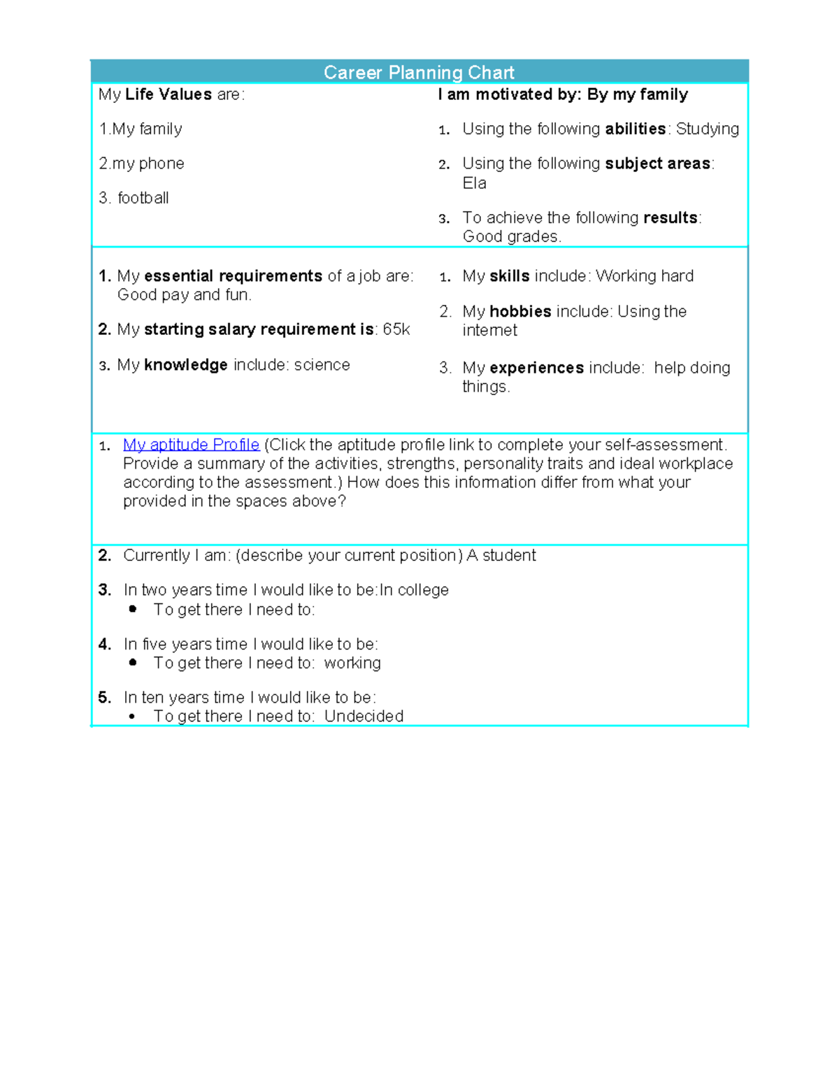 10.1 Career Planning Chart (1)-1 - Career Planning Chart My Life Values ...