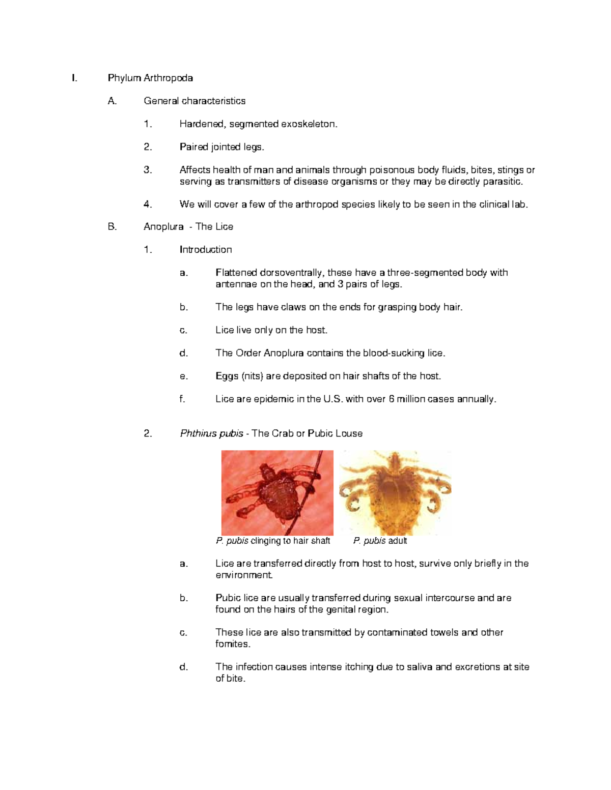 Arthropod - This lecture notes contain, a lecture on Anthropology in ...