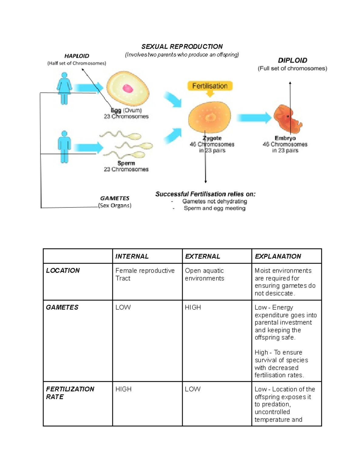 Biology Study Notes 2022 - SEXUAL REPRODUCTION (Involves two parents ...