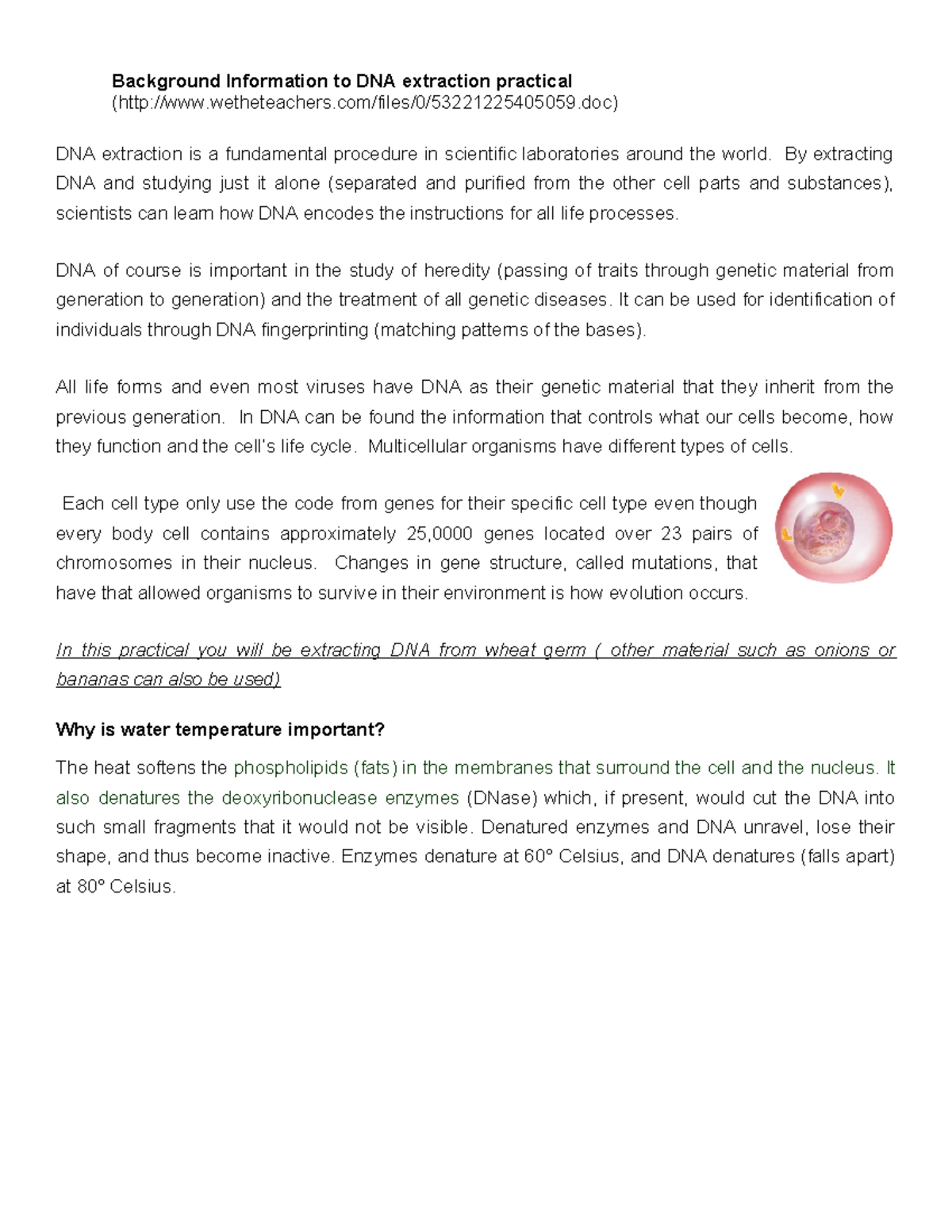 Background info for DNA extraction prac - Background Information to DNA ...