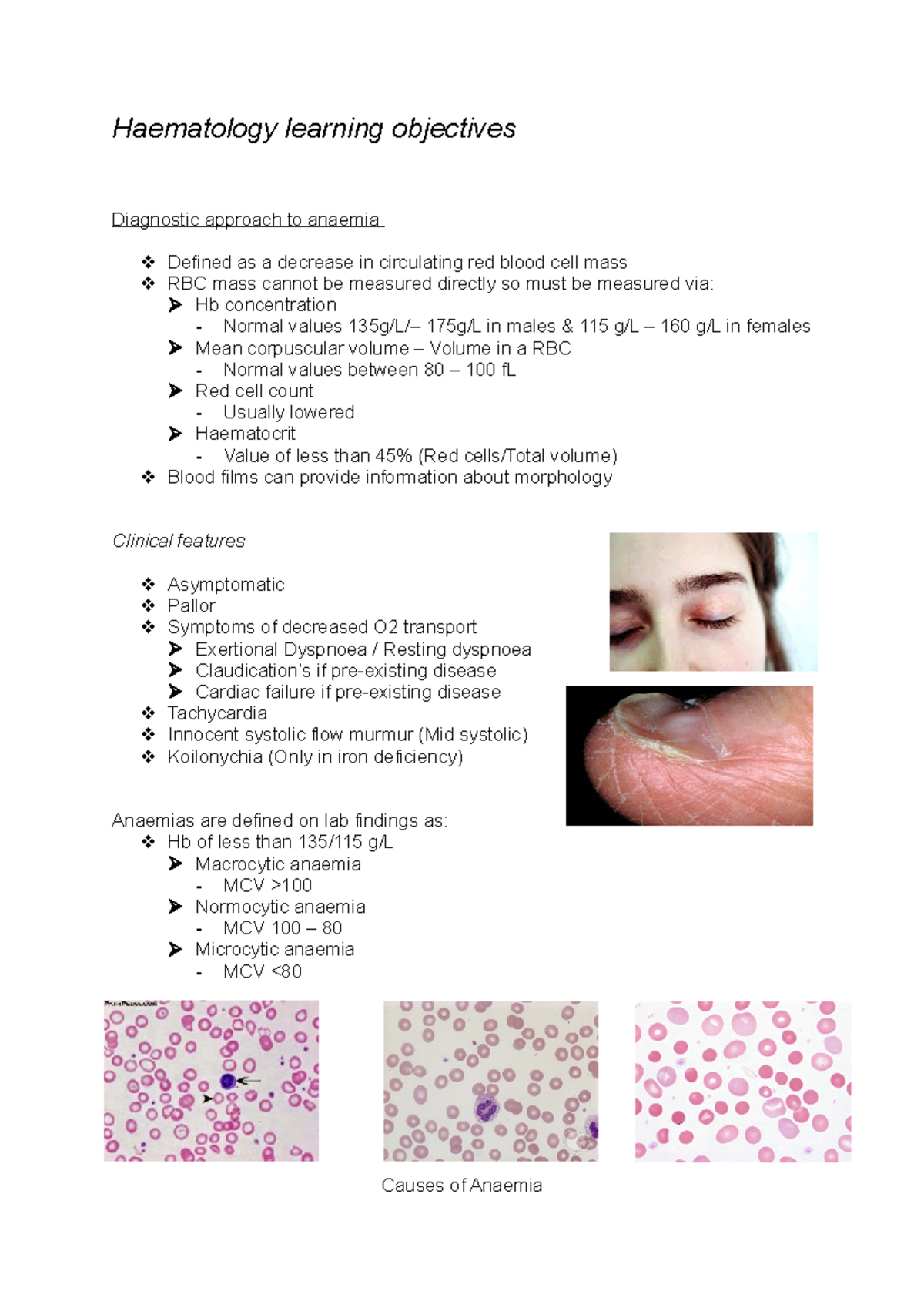 Haematology - Praxtice sheet - Haematology learning objectives ...