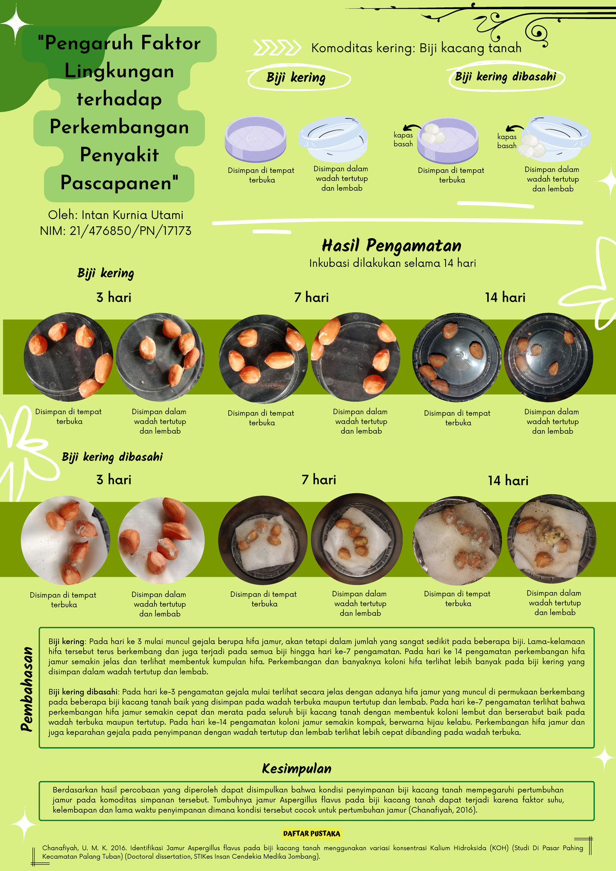 476850 Intan Kurnia Utami Perkembangan Penyakit Pascapanen - "Pengaruh ...