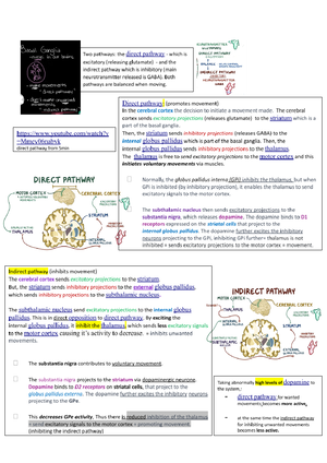 Cranial Nerve Modalities - Modality Function Cranial Nerves Containing ...