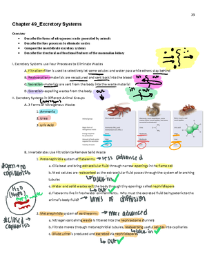 Mouse Genetics One Trait - Lab report: Mouse Genetics One Trait ...