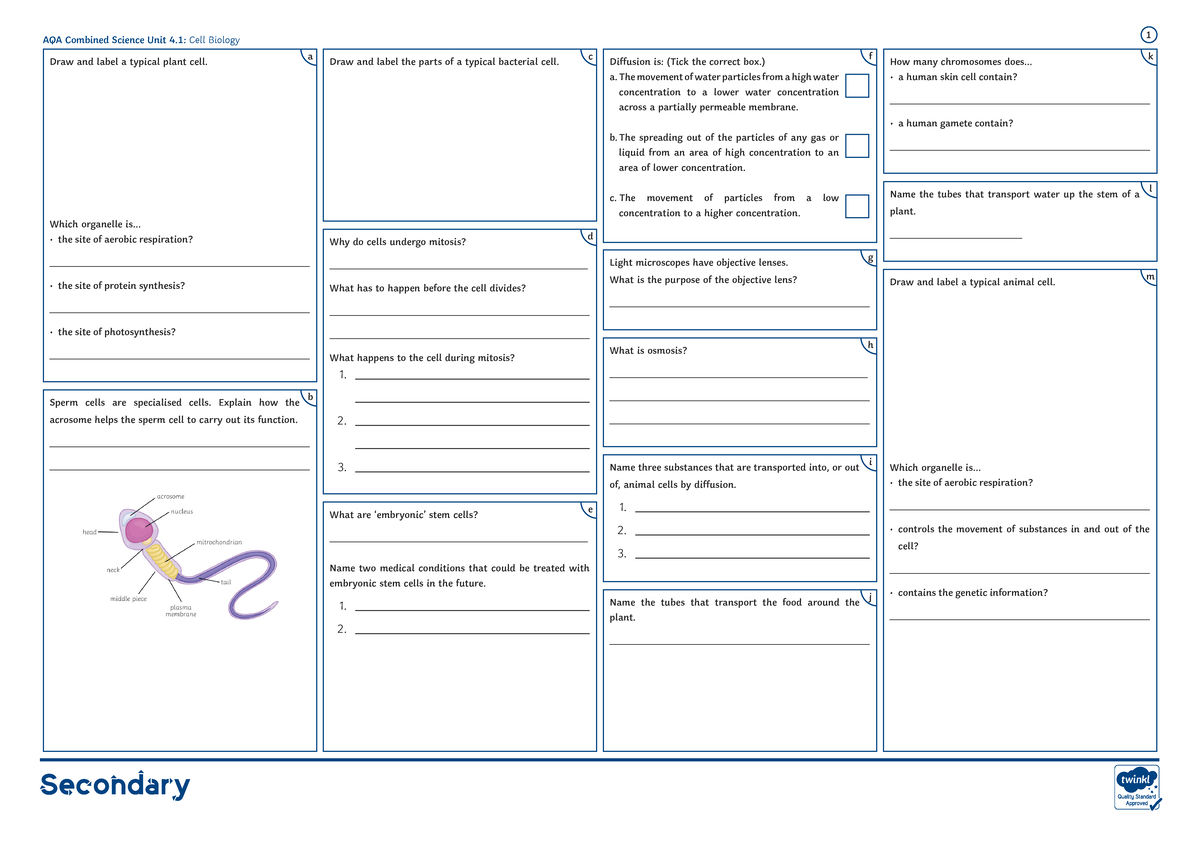 1 Cell Biology Foundation Revision Activity Mat - Draw and label a ...